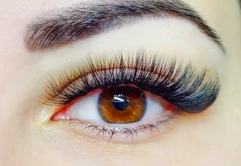 Home - The Lash Empire Spa